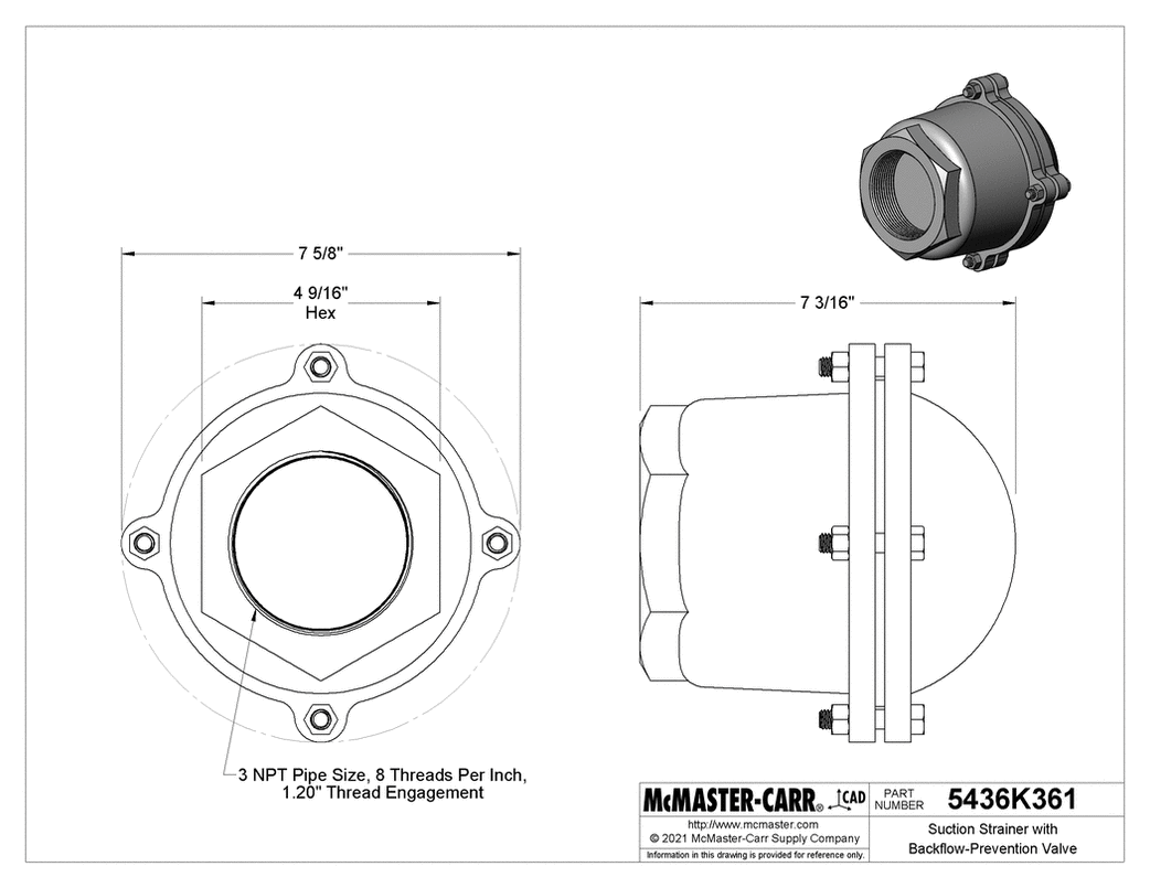 McMaster 5436K361 Suction Strainer with Backflow-Prevention Valve Iron ...